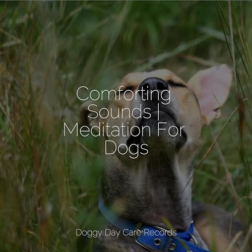 Comforting Sounds | Meditation For Dogs by Official Pet Care Collection ...