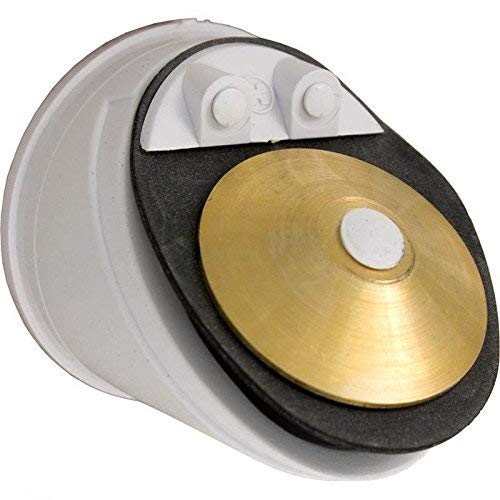 Amazon.com: Hayward Genuine ECX4077B1 Check Valve EC30 EC40 EC65 ...