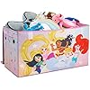 Amazon.com: Disney Princess 4 Piece Storage Set for Kids – Pop Up ...