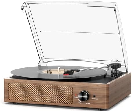 Amazon.com: Vangoa Vinyl Record Player with 2 Built-in Speakers ...