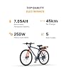 HORNBACK X1 Full-Size Foldable Electric Bike – 250W BLDC Motor, 7-Speed ...