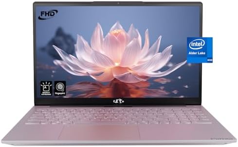 Amazon.com: HP 14" IPS FHD Display Laptop, 16GB Memory, 1TB Storage ...