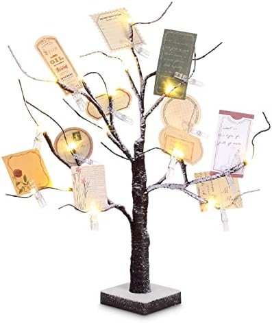 Amazon.com: Coume Money Tree Gift Card Holder LED Birch Twig Tree ...