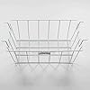 Amazon.com: GE WR21X10208 Genuine OEM Storage Basket for GE Freezer ...