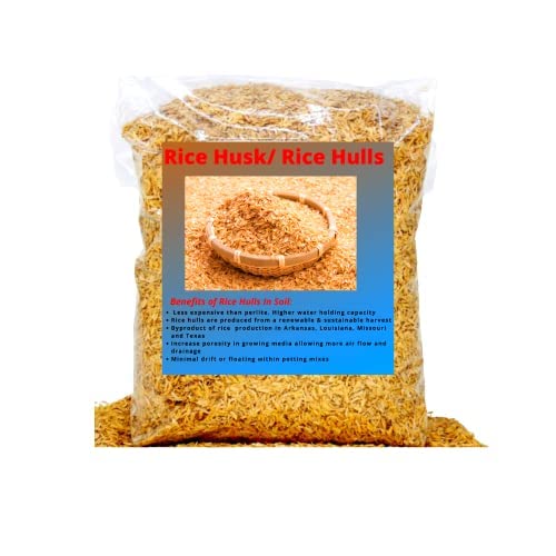 Rice Hulls/ Rice Husk Natural Organic Paddy Husk-House Plants Gardening ...