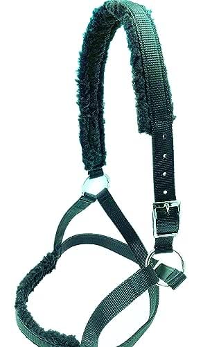 Amazon.com: Padded Cattle Halters Matching Lead LEASH Bull Cow Yearling ...