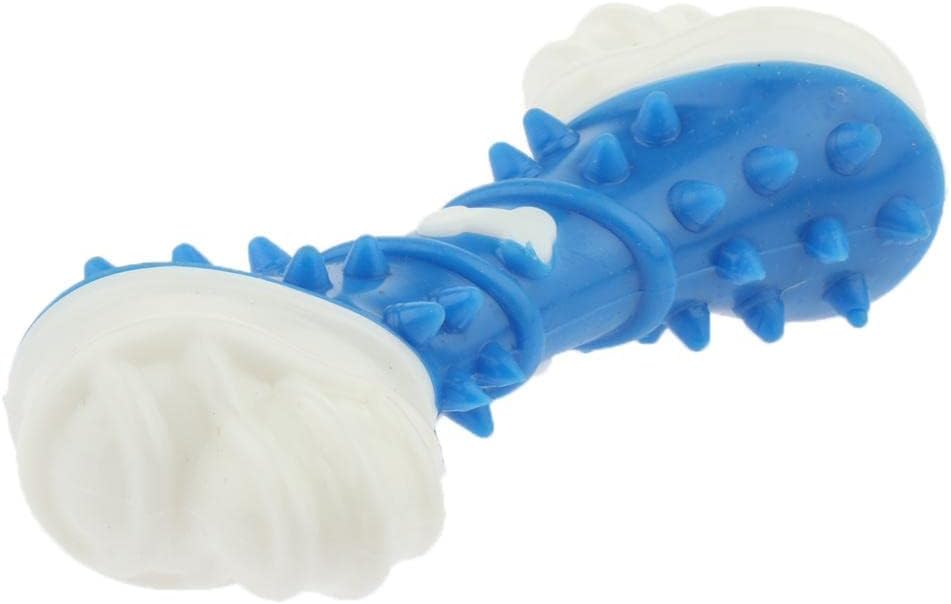 Amazon.com: Custom Sized Basketball Allstar Replacement Tarp Canopy for ...