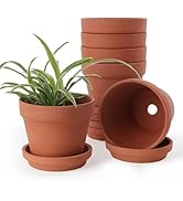 Amazon.com: INGOFIN Terracotta Pot with Saucer - 10 Inch Ceramic Clay ...