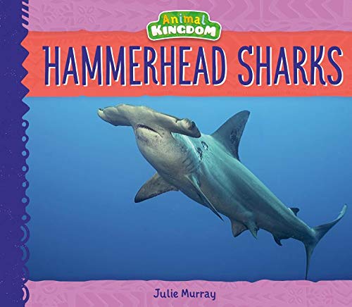 Hammerhead Sharks (Animal Kingdom): Murray, Julie: 9781532116360 ...