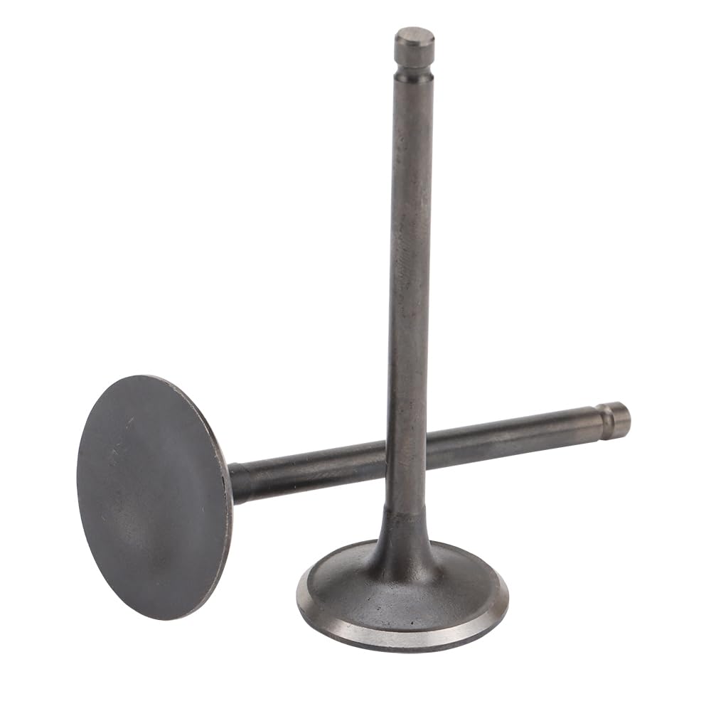 Amazon.com: WOOSTAR Cylinder Head Intake Exhaust Valves Replacement for ...