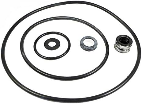 Amazon.com: Pentair PP4200 Seal Gasket Replacement Kit Sta-Rite Pool ...