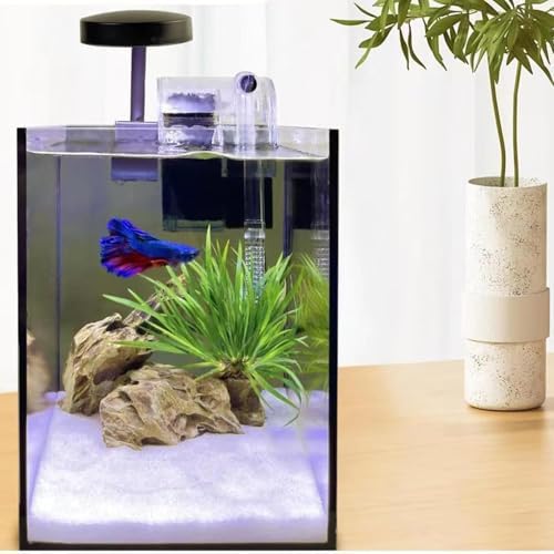 Jainsons Pet Products Ultra Clear Crystal Acrylic Betta Fish Tank Small ...