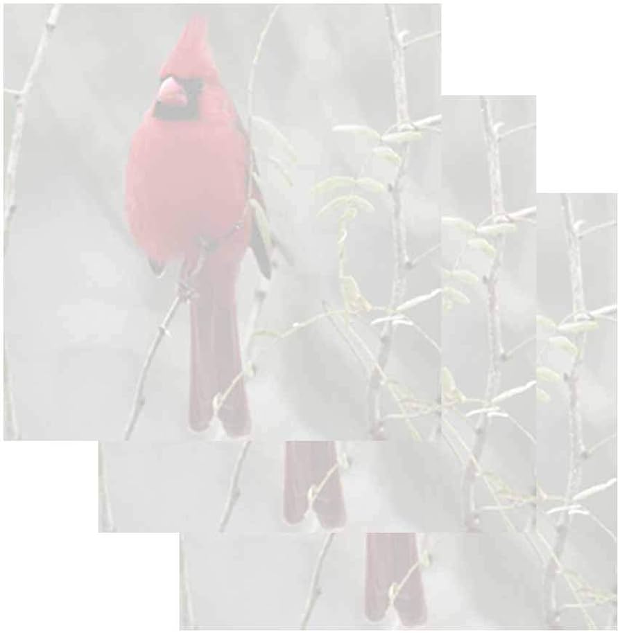 Sticky Notes 9 Pads Cute Set, 3" X 3" Bird Self Stick Kawaii Bird ...