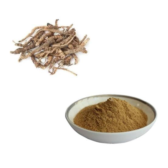 Buy AYURVEDIC ZONE Kutki Root and Powder - Katuki - Kutaki- Picrorhiza ...