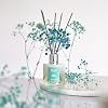Amazon.com: Airkeep Reed Diffuser Set,3.38 fl oz (100 ml) - April ...