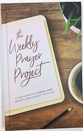 The Weekly Prayer Project: HILTIBIDAL, SCARLETT: 9780310632177: Amazon ...