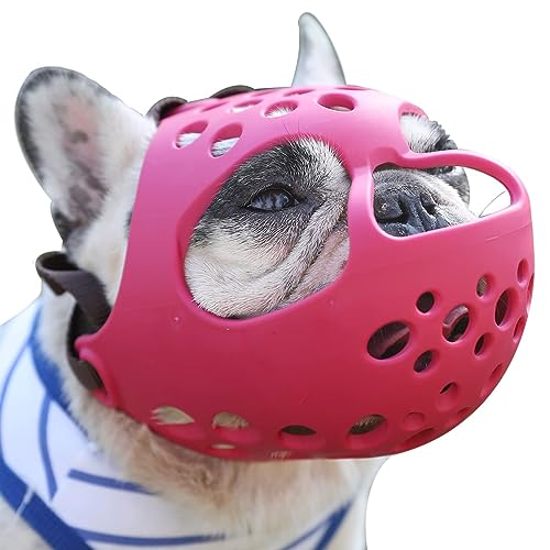 Maulkorb für Mops – Die 16 besten Produkte im Vergleich - HundeINFOPortal