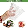 Amazon.com: SUNPRO Clear Nursery Pots for Plants - 10 Pack Transparent ...
