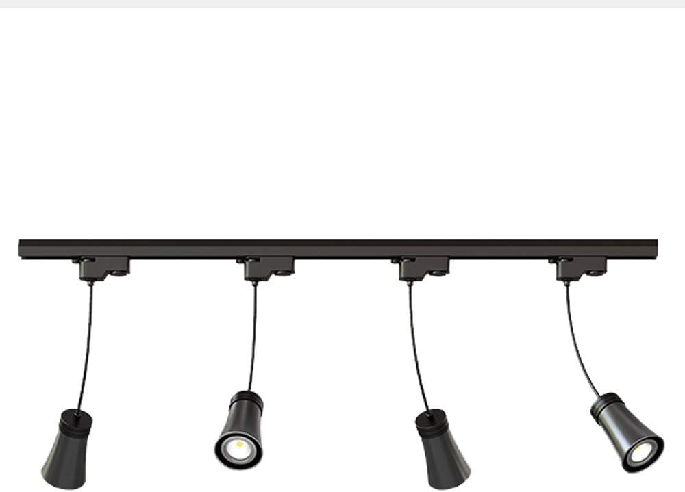 PEHUB LED Track Lighting Heads for 2-Wire-1 Compatible-Ceiling ...