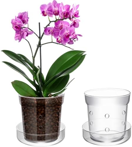 Amazon.com: Elegant Sheer Glass Flower Pot Planter with Drainage Holes ...