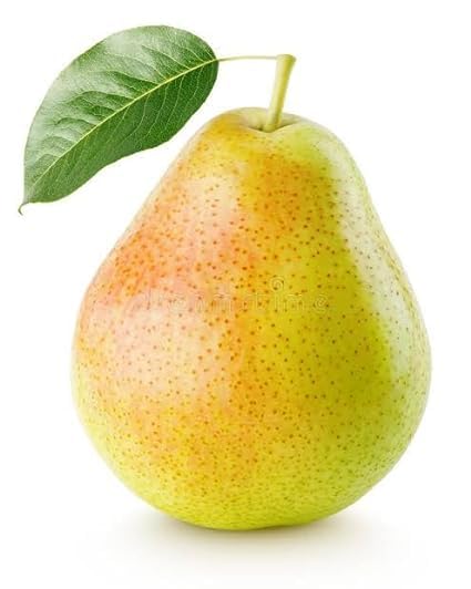 Pear Fruit Naspati Live Plant Grafted Outdoor Living Plant Original ...