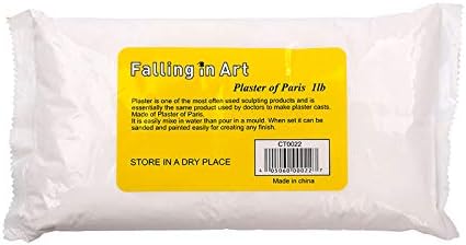 Amazon.com: Falling in Art 1lb Plaster of Paris Powder - Hand Mold ...
