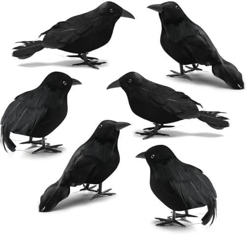 Amazon.com: Lomrsiul Halloween Crows & Ravens Decor - Realistic Black ...