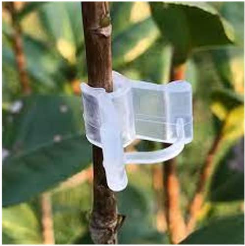 Siddhi Garden Plant Grafting Clip 10 Pcs / 4 to 6mm Grafting Clip/Plant ...