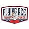 Amazon.com: Peanuts Snoopy Flying Ace Pilot Lounge Metal Sign - Vintage ...