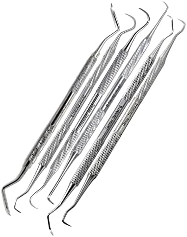 Amazon.com: Professional Dental Tarter Scraper Tool Pick, Double Ended ...