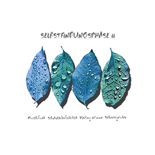 Amazon.com: Selbstfindungsphase II : alex_Q: Digital Music