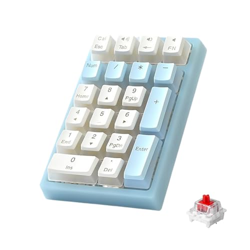 Amazon Best Sellers: Best Numeric Keypads