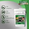 Amazon.com : Repellex Mole and Gopher Repellent Granules, 24 lb with ...