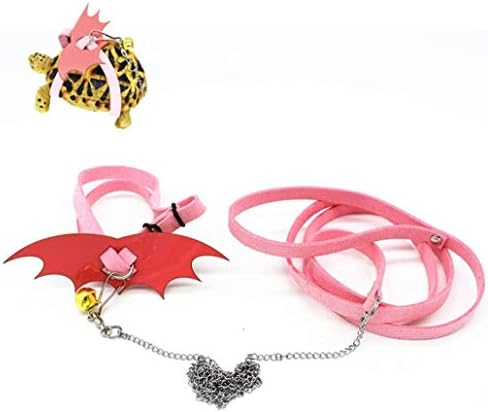 Amazon.com : Turtle Harness and Leash with Wings Tortoise Leash Lizard ...