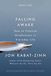 Falling Awake: How to Practice Mindfulness in Everyday Life - Kindle ...