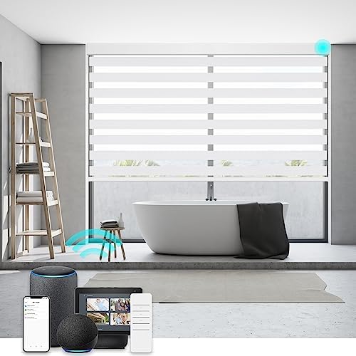 Amazon.com: Changshade Smart Motorized Zebra Blinds Blackout Remote ...