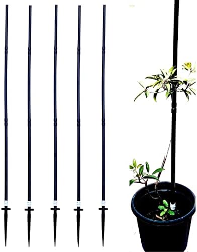 Plant Support Pole for Creepers & Long Plant Support Sticks 5 Feet ...