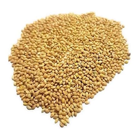Buy MASHKI Thinai Kangni Seed Double Cleaned Korra, Rala, Thina, Kang ...