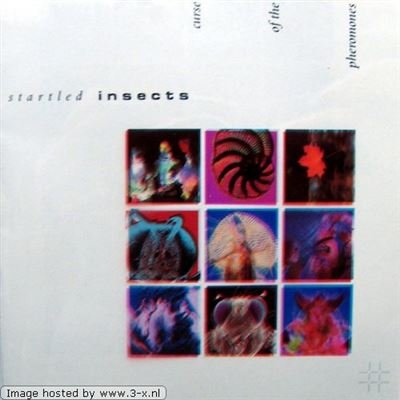 STARTLED INSECTS-Curse Of The Pheromones-CD - Amazon.com Music