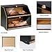 Amazon.com: HOMEKOKO Double Layer Large Bread Box for Kitchen Counter ...