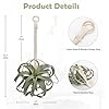 Amazon.com: Artificial Air Plants 11 Inch Faux Flocking Tillandsia Real ...