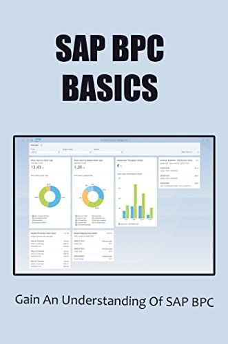 SAP BPC Basics: Gain An Understanding Of SAP BPC eBook : Foulke, James ...