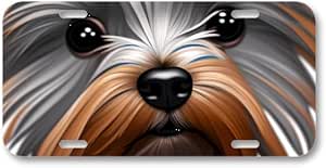 Amazon.com: Aluminum Front License Plate for Front of Car - 12 x 6 ...