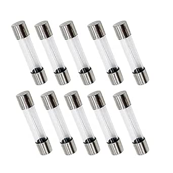 AMERI F10AL250V 6x30mm 10A Fast-Blow Fuse 250V Glass Fast-Acting Fuse ...