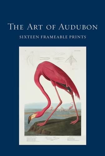 The Art of Audubon: Sixteen Frameable Prints: John James Audubon ...