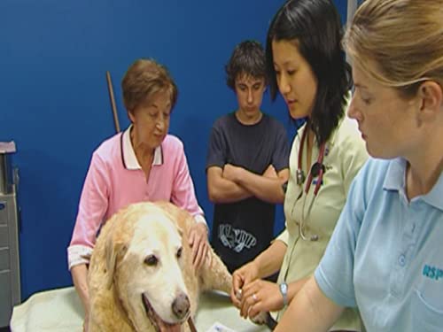 Rescue Your Lab with these Top 10 Products: A Comprehensive Buying ...