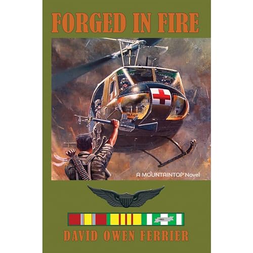 Amazon.com: Forged In Fire (Audible Audio Edition): David Ferrier ...