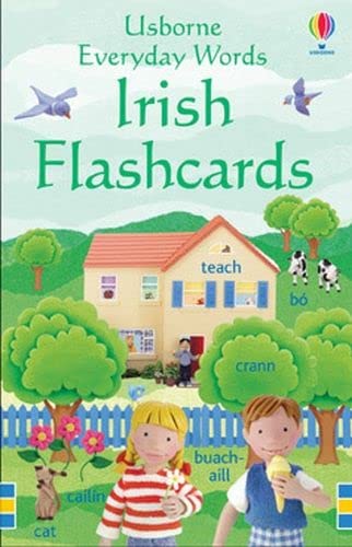 Usborne Everyday Words: Irish Flashcards (Everyday Words Flashcards ...