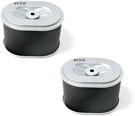 Amazon.com: Honda 17211-ZS9-A02 Pack of 2 Air Filter Elements : Automotive