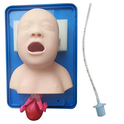 Buy zinnor Tracheal Intubation Training Simulator Model Advanced Infant ...